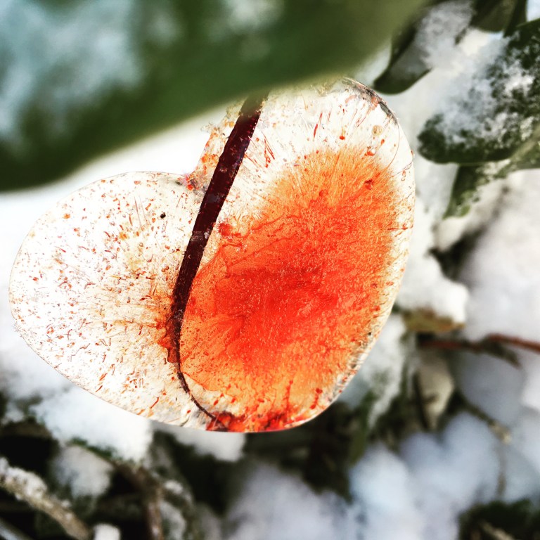 A Step by Step Guide to Making Ice Ornaments | Right from the Start