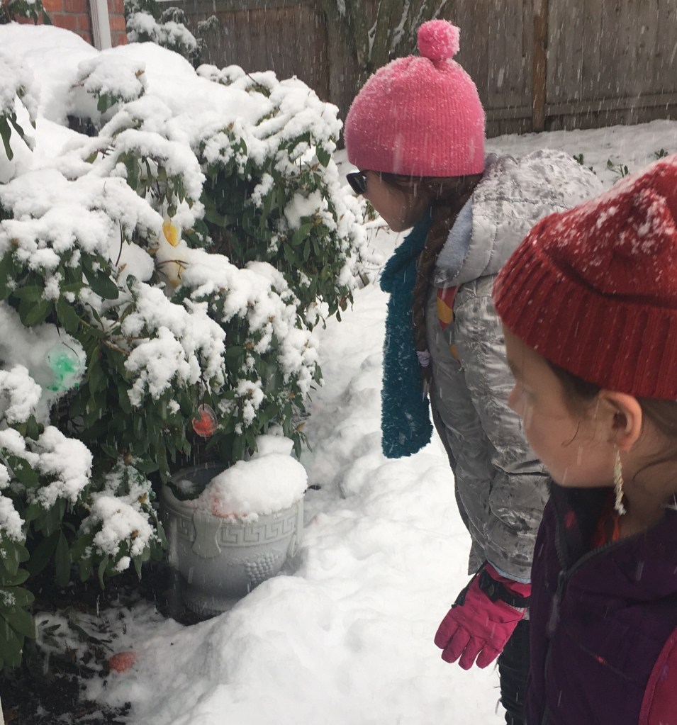 A Step by Step Guide to Making Ice Ornaments | Right from the Start