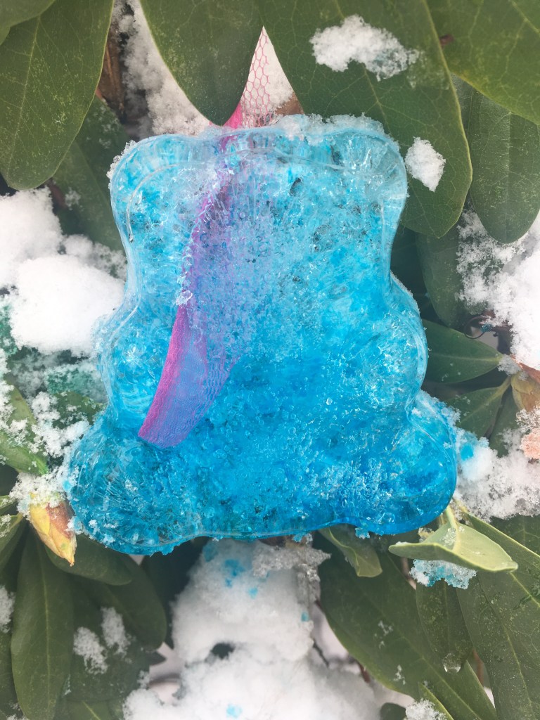 A Step by Step Guide to Making Ice Ornaments | Right from the Start